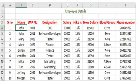 Create A Data For Your Organization By Mohd Yawar Fiverr