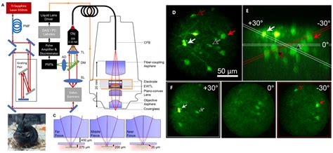 Mems Enabled Miniature Two Photon Microscopy For Biomedical Imaging