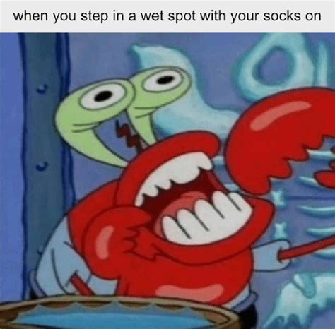 Eugene Krabs Memes Mr Krabs Memes Spongebob
