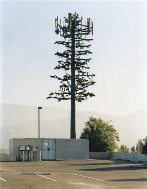 Cell Phone Towers Disguised As Trees An Optical Illusion