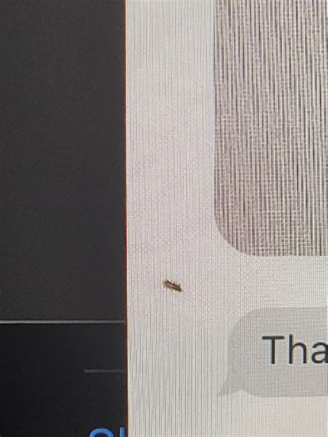 Macbook Pro Dead Pixels Rcomputerhelp