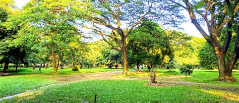 Ramna Park Dhaka Bangladesh Best Time To Visit Ramna Park