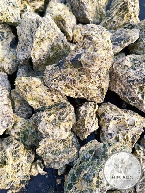 Szivacskő Mini Kert Hu