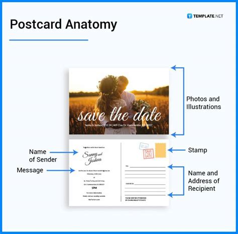 Postcard What Is A Postcard Definition Types Uses Free And Premium