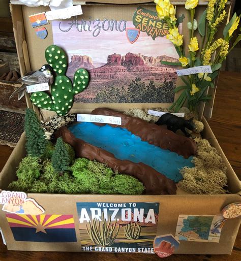 State Float Project States Project School Age Activities Habitats