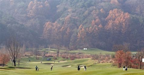 할인마트서 산 공으로 하루 두번 홀인원 1억6200만분의 1 확률