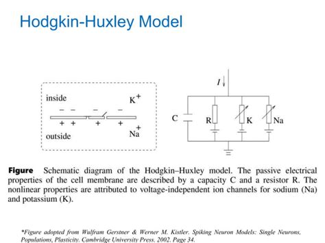 introduction to spiking neural networks from a computational