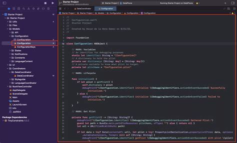 How To Setup A Swift Project To Make API Calls In XCode