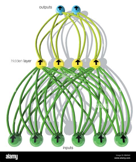 In A Simple Feedforward Neural Network All Signals Flow In One