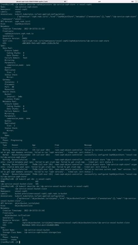 Rook Ceph Not Starting Properly On Kylin V10 Sp1 · Issue 11253 · Rook