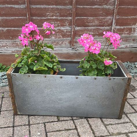 Rectangular Planter Troughgalvanised Plantersgardenalia Suppliers