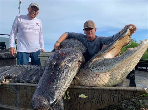 Lets Talk About Florida Alligator Season Hunters Envy