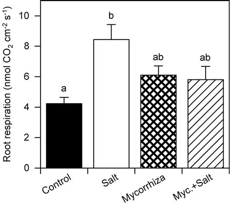 Fine Root Absorptive Root Order 1 And 2 Respiration Rate Per Root Download Scientific Diagram