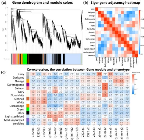 Identification Of Modules A Gene Dendrogram And Module Colors B