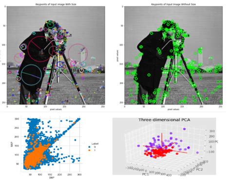 do computer vision and image processing tasks by soft tech11 fiverr