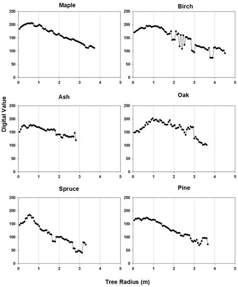 Remote Sensing Free Full Text Individual Urban Tree Species Classification Using Very High