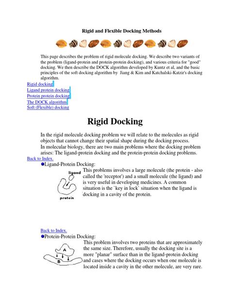Rigid And Flexible Docking Methods Pdf Docking Molecular Proteinprotein Interaction