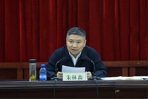 朱林森当选丽水市市长平湖嘉兴工作