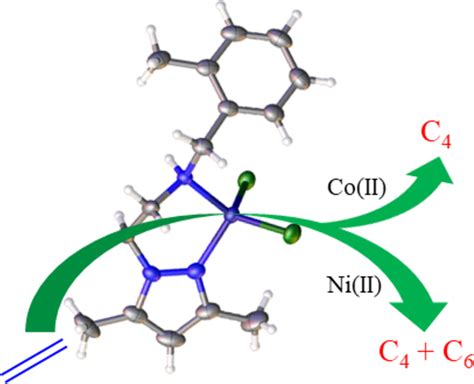 Applied Organometallic Chemistry Vol 39 No 6