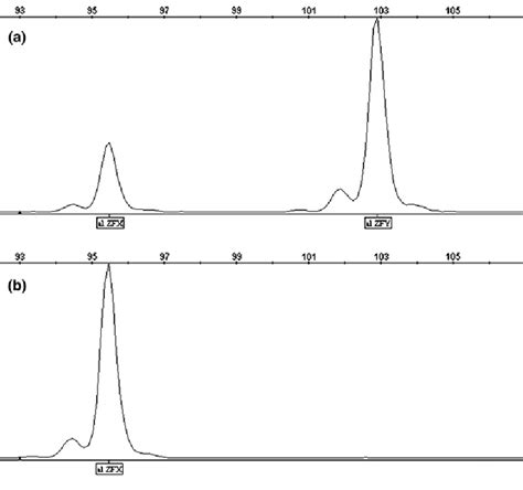 Electropherogram Image Showing Results Produced By A Male And B Female