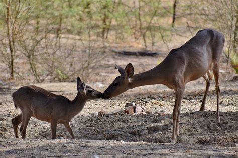 Inauguran Muestra Fotográfica Que Expone La Fauna Y Flora De Campus