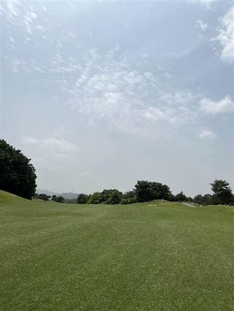 매달 찾는 셀프라운드가능한 노캐디골프장 포천 아도니스 퍼블릭 5월말 페어웨이 그린 잔디상태