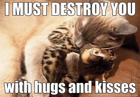 127 Best Funny I Love You Memes For Her Him 2024