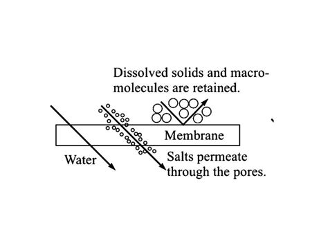 Membrane Separation Process Pptx