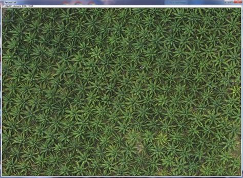 Oil Palm Tree Counting Image Analysis Imagesc Forum