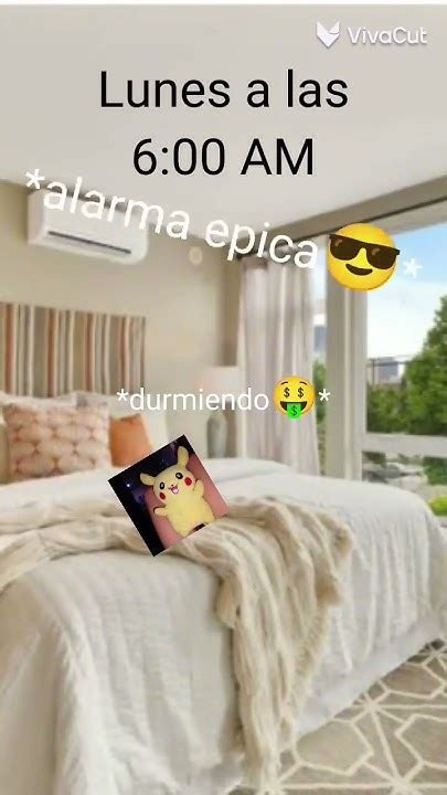 1 De Diciembre De 2024 Youtube