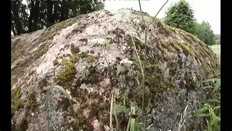 Ivan Porn Videos Xhamster