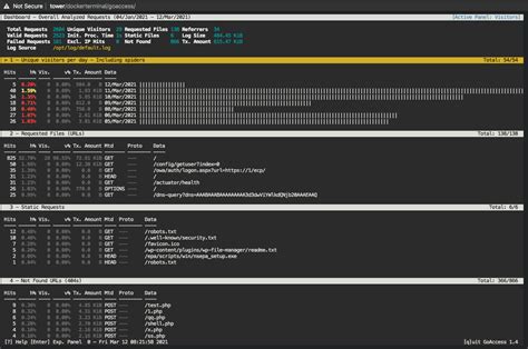 View Nginx Proxy Manager Access Logs In A Beautiful Dashboard With