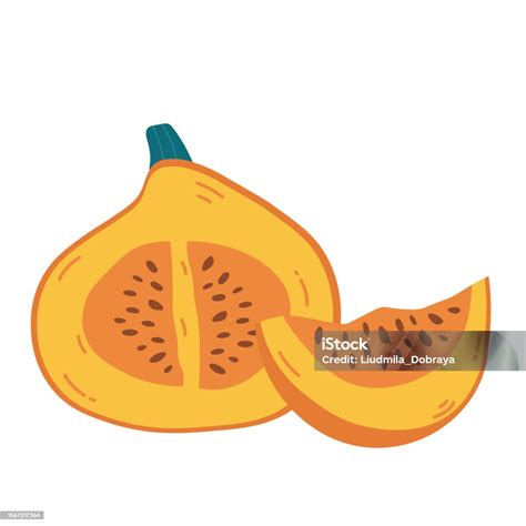 씨앗을 곁들인 오렌지 잘 익은 호박의 절반과 조각 손으로 호박 구성 벡터 그림을 그립니다 안녕하세요 가을 가을 시즌입니다 가을