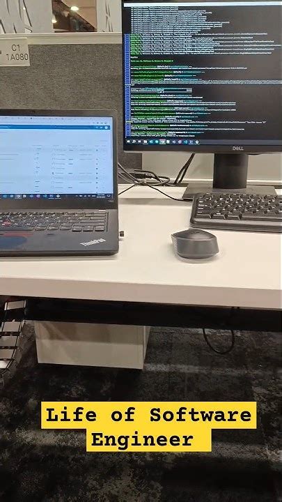 life of a software engineer 😔 foryou computerprogrammer viral softwaredeveloper instavideo