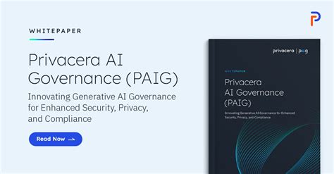 Generative Ai Genai Security And Governance Privacera