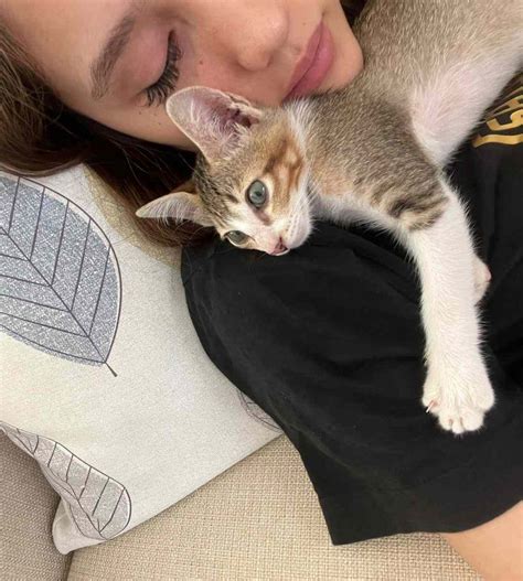 Profil Cinta Laura Biodata Agama Pasangan Kekayaan Hingga Foto Muda