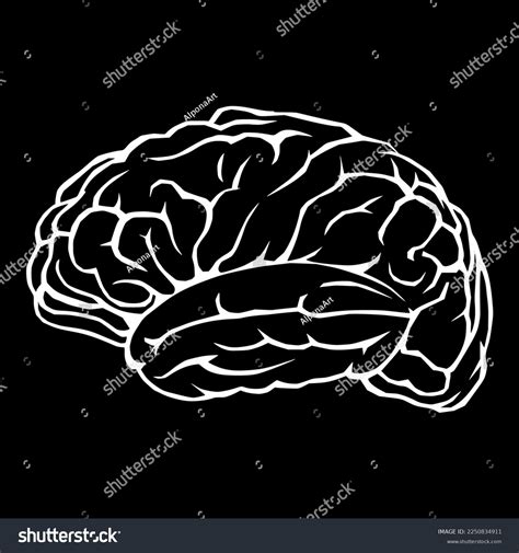 Brain Mind Thinking Modern Creative Illustration Stock Vector Royalty
