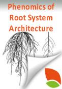 New Teaching Tool Root Phenomics Plantae