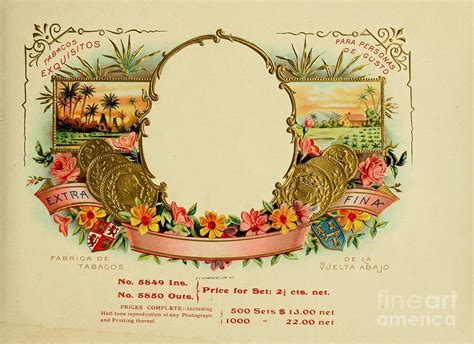 13 Vintage Cigar Labels Free Vintage Cigar Box Cigar Box Cigars Cigar