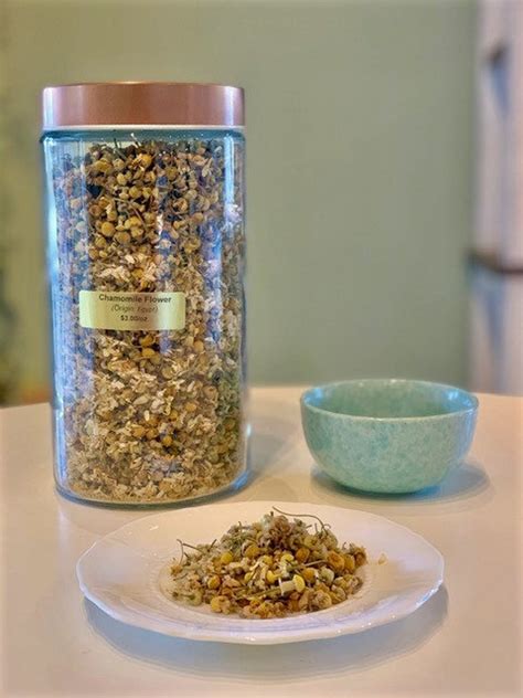Chamomile Flowers Herb Tea German Chamomile Natural Remedy Etsy