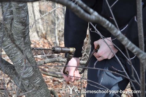 Real Life Lesson How To Tap A Maple Tree Homebabe Your Babes