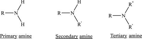 Draw A Structural Formula For Each Amine And Amine Derivative A N
