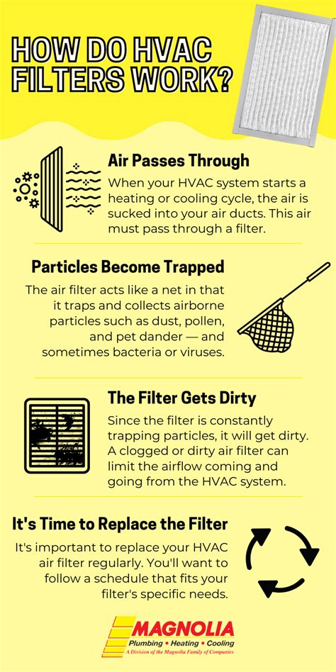 How Often Should Air Filters Be Replaced Magnolia