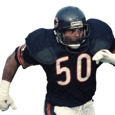 Mike Singletary Career Stats