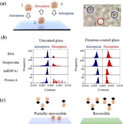 A Illustration Of The Detection Of Adsorption And Desorption Of