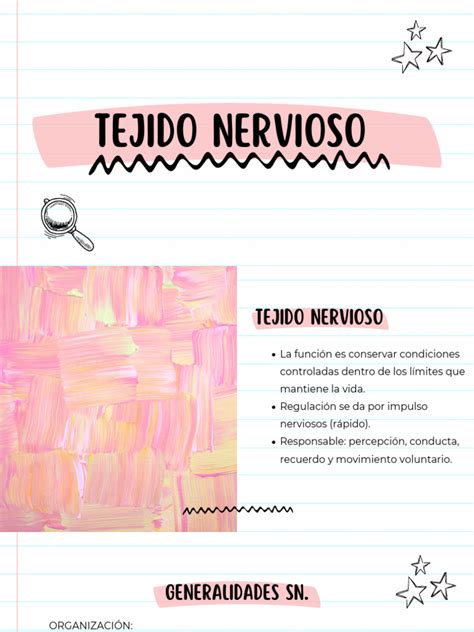 Tejido Nervioso Pdf Sistema Nervioso Neurona
