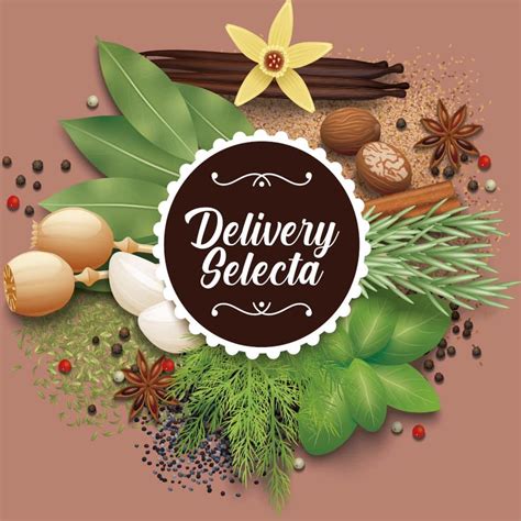 Delivery Selecta Lima