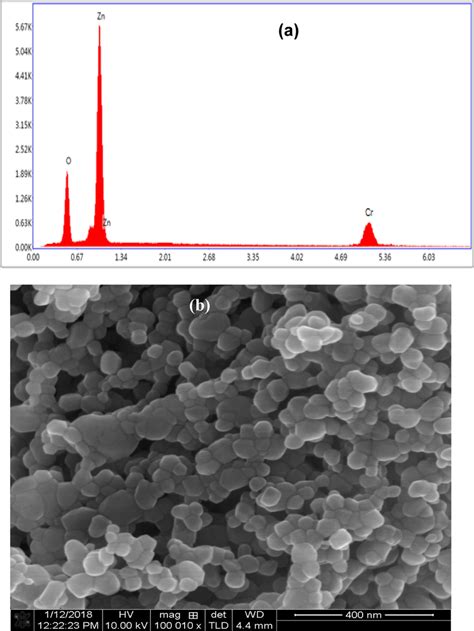 A Edx Spectrum B Sem Micrographs And C Tem Image Of The Zncro