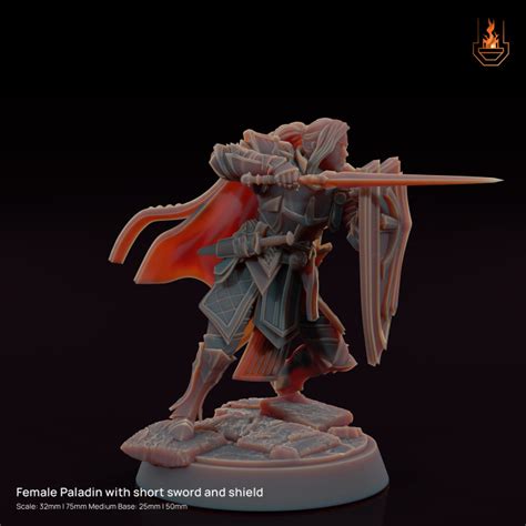 Téléchargement Female Paladin With Shield And Sword [supported] Par