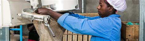 Gender Diversity Bii Gender Toolkit